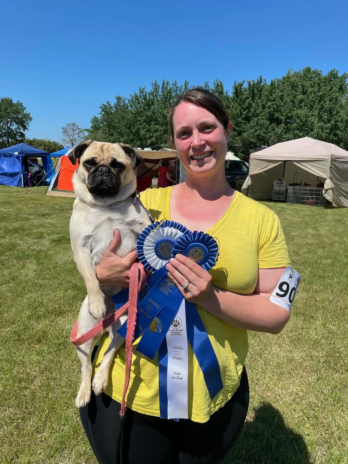 Performance Pugs – Pug Club of Canada