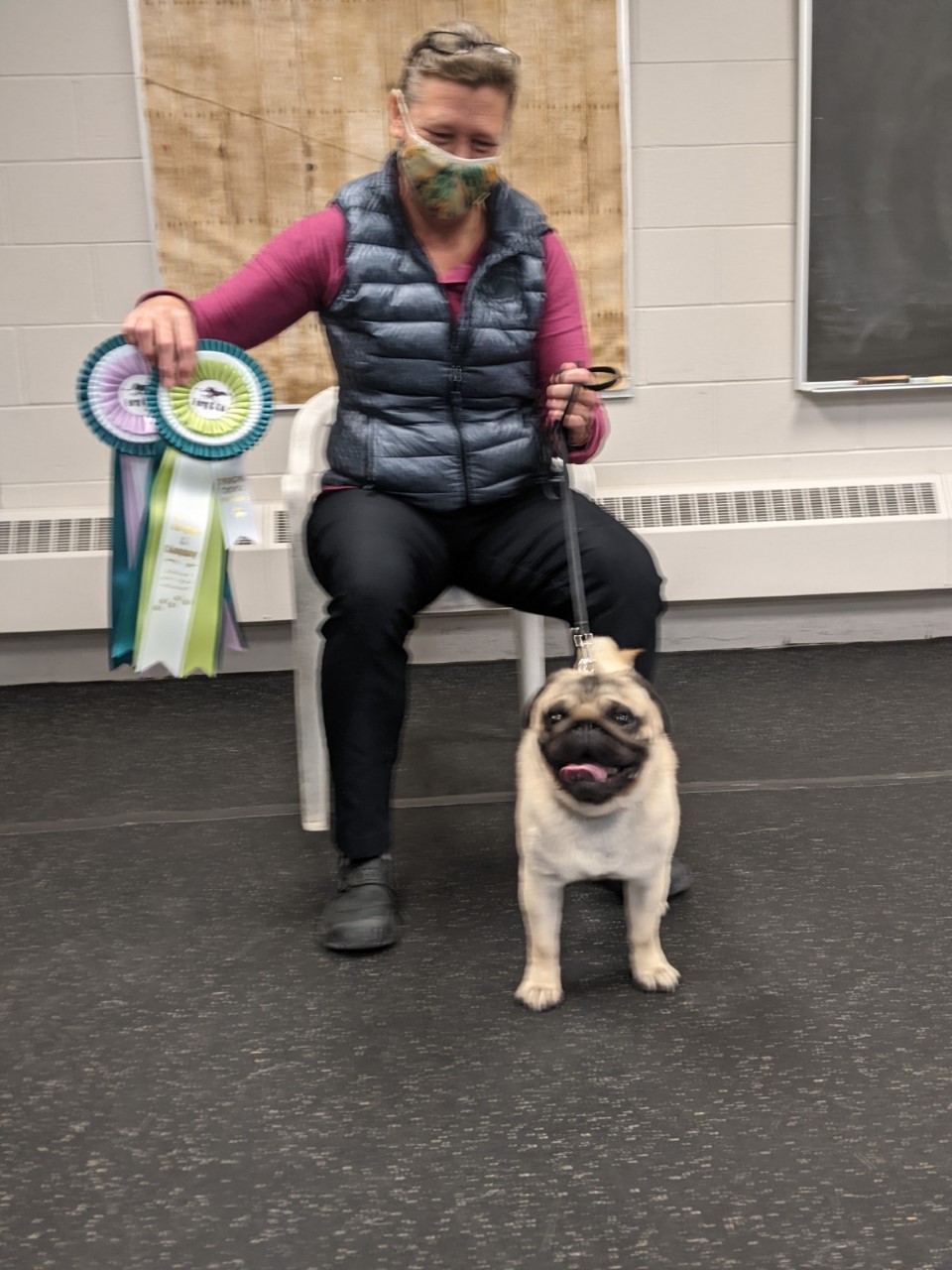 Performance Pugs – Pug Club of Canada