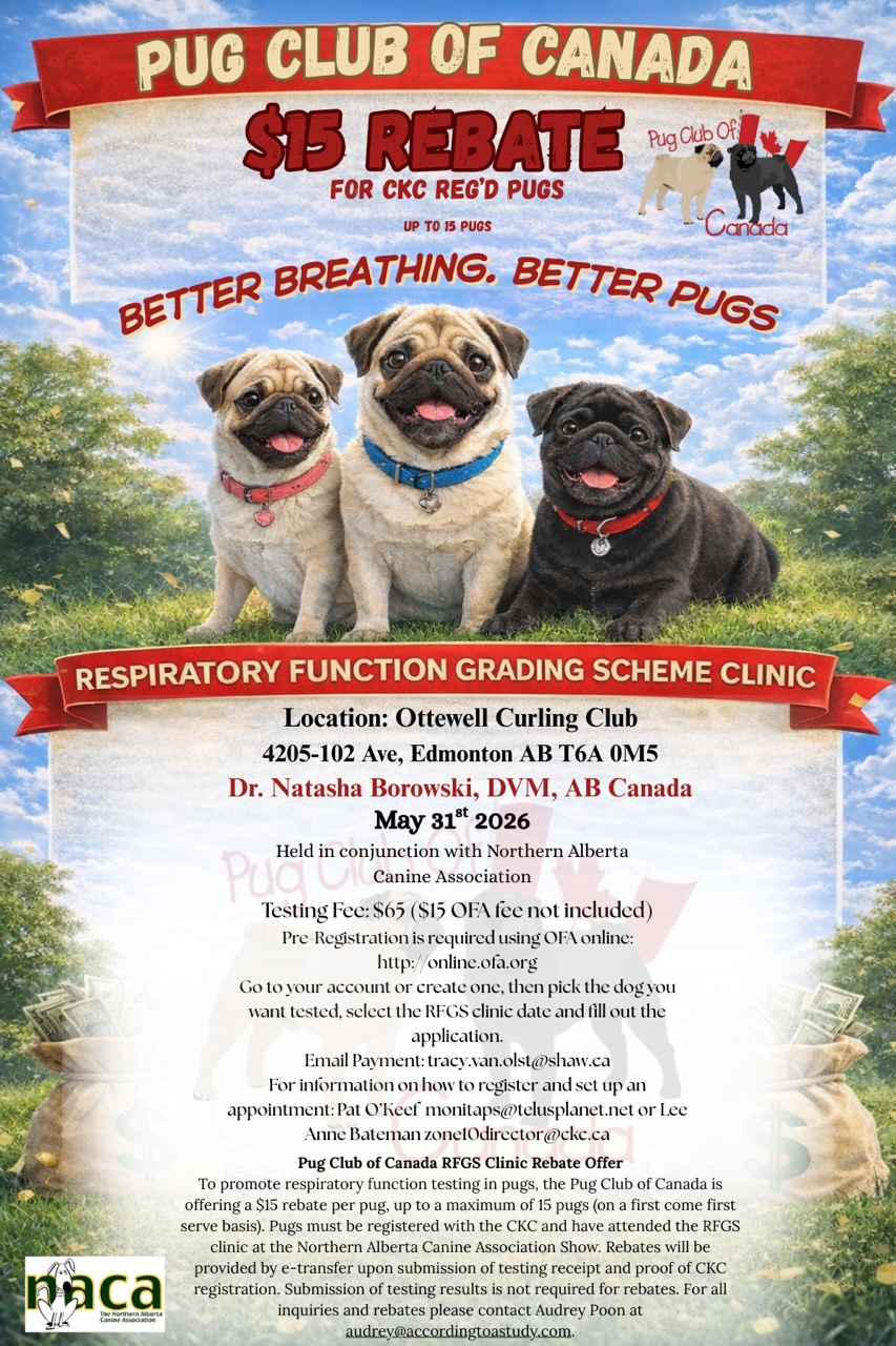Events – Pug Club of Canada
